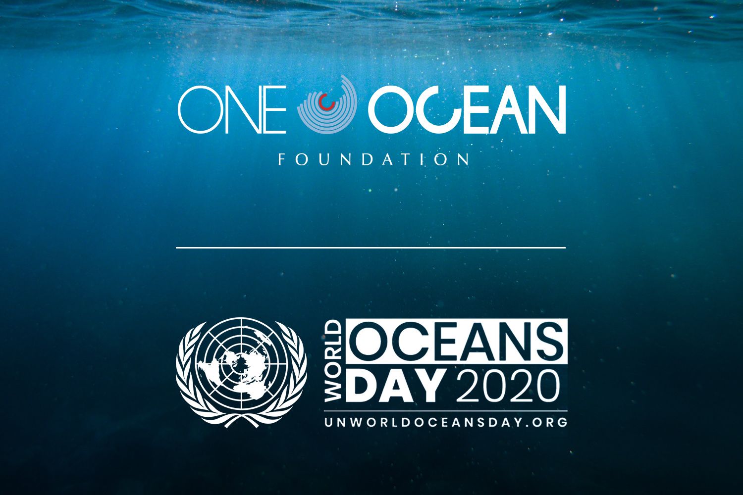 One Ocean Foundation at UN World Oceans Day