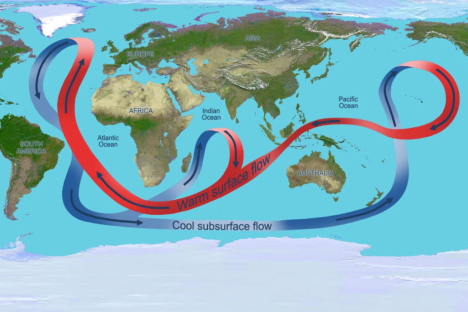 The thermohaline circulation