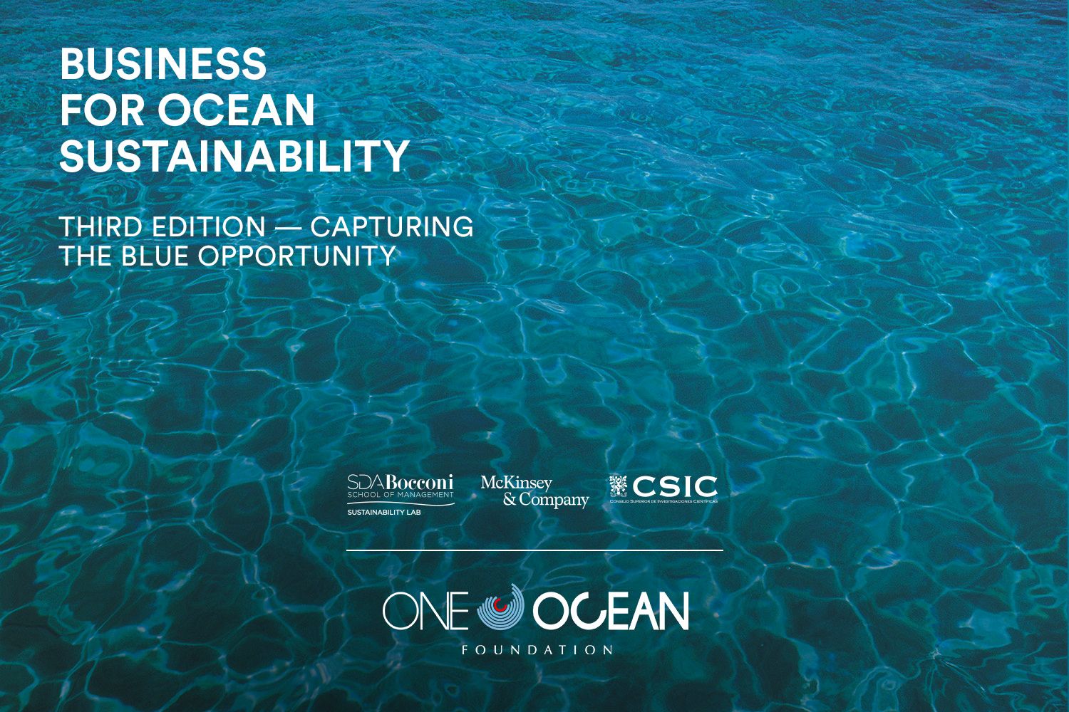 One Ocean Foundation pubblica la Terza Edizione del Rapporto “Business ...