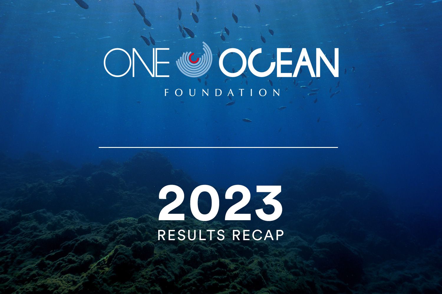 One Ocean Foundation's Impactful 2023