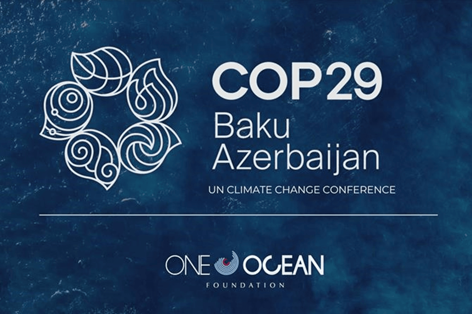 One Ocean Foundation at COP29: promoting the blue economy