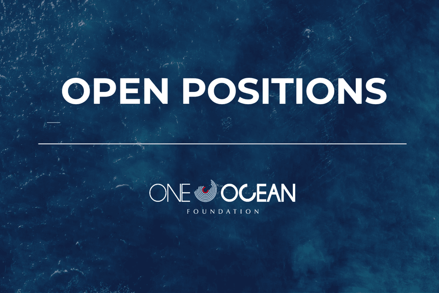 One Ocean Foundation is hiring: join us to protect the ocean