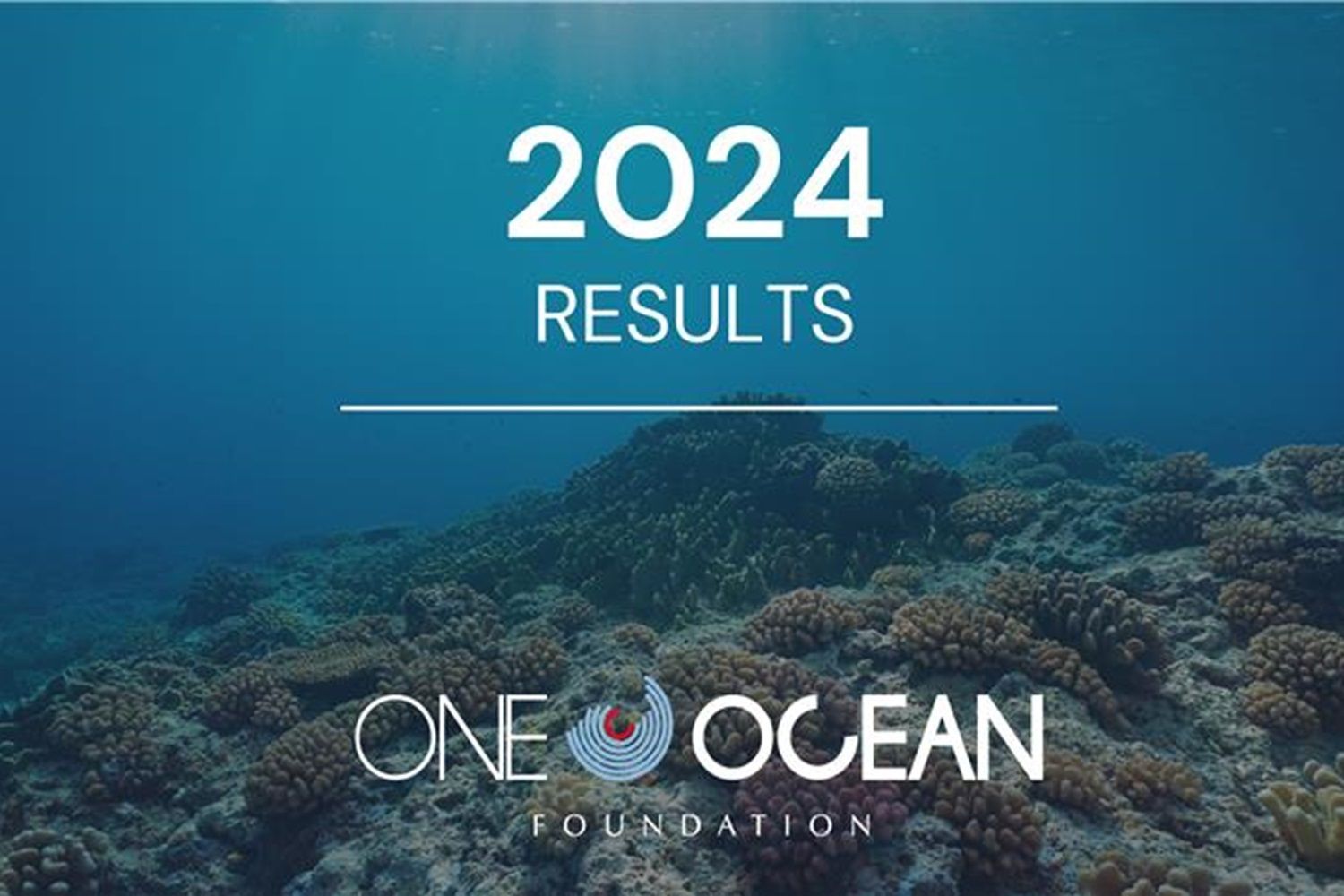 One Ocean Foundation: 2024 results recap