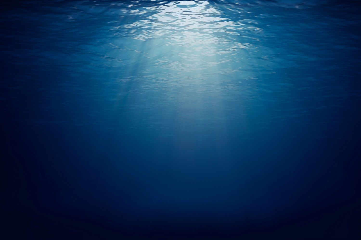 The water cycle and its connection to the ocean